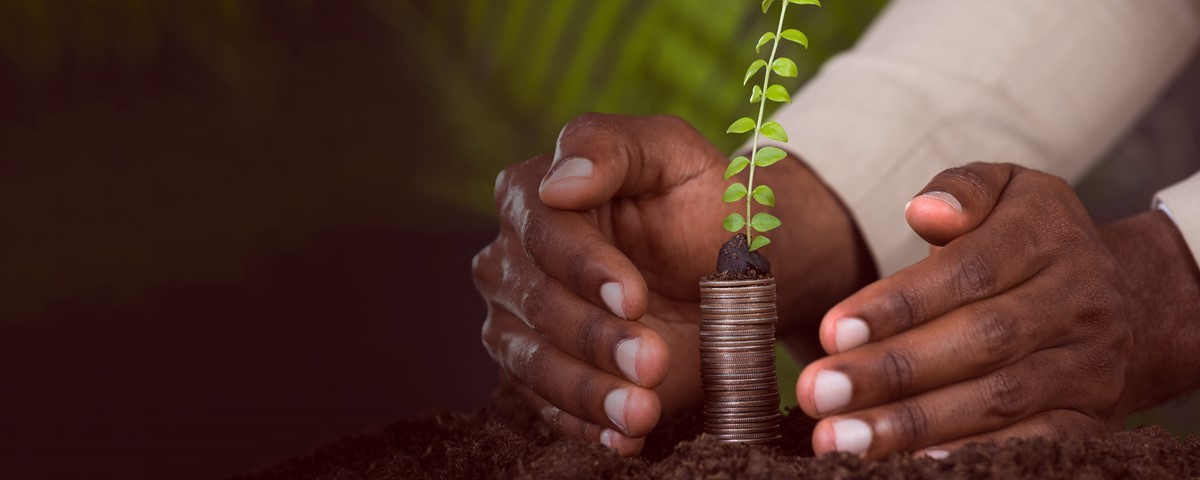 Wealth Management - Zenith Bank UK